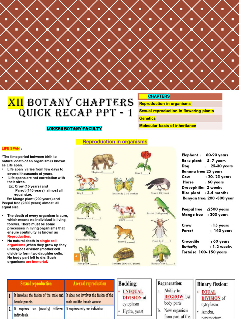 Botany Recap for XII Students | PDF | Flowers | Pollination