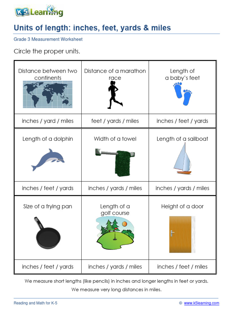 Grade 3 Length Measurement Worksheet | PDF | Science & Mathematics
