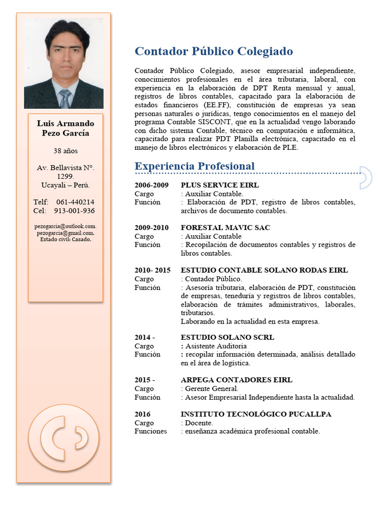 CV MODELO | PDF | Contador | Contabilidad