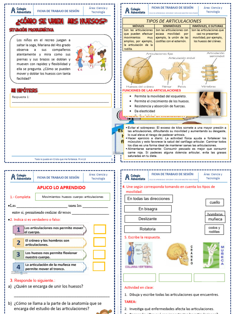 Ficha 3 Cómo Se Unen Mis Huesos | PDF | Articulación | Flexibilidad ...