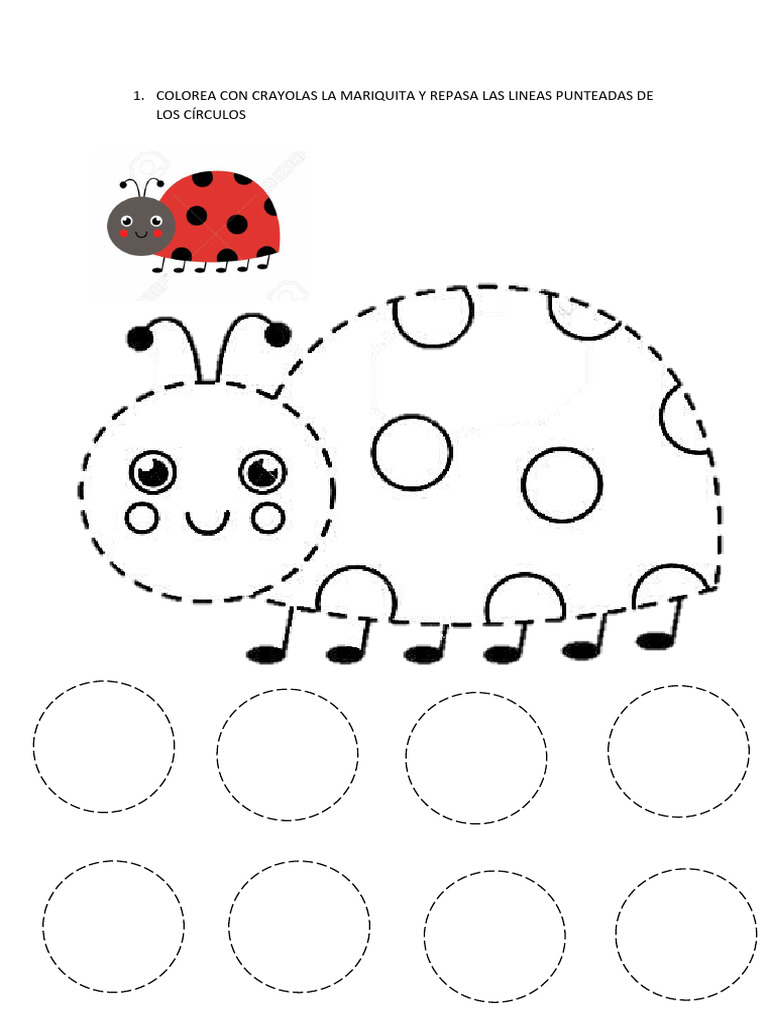 Colorea Con Crayolas La Mariquita y Repasa Las Lineas Punteadas de Los ...
