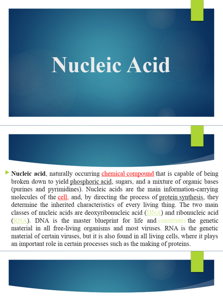Nucleic-Acid-report | PDF | Nucleic Acids | Dna