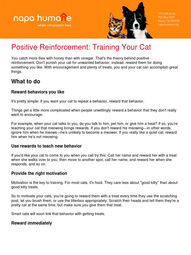 Positive Reinforcement Training Your Cat With Treats and Praise | PDF ...