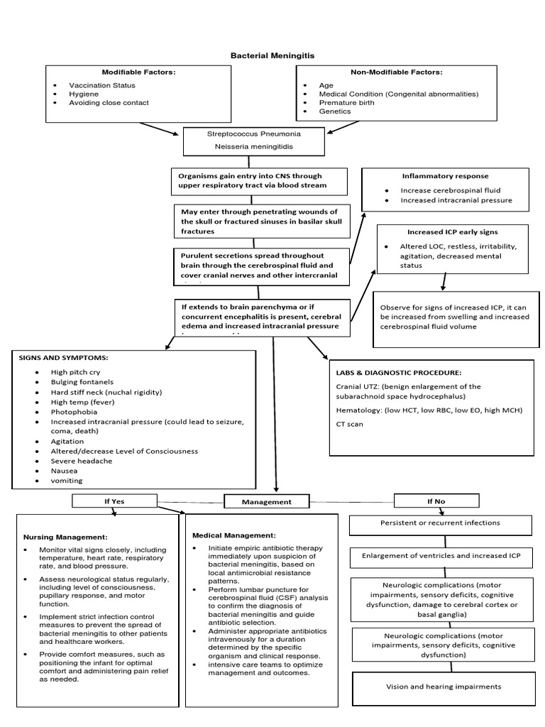 Bacterial Meningitis PDF Meningitis Cerebrospinal Fluid