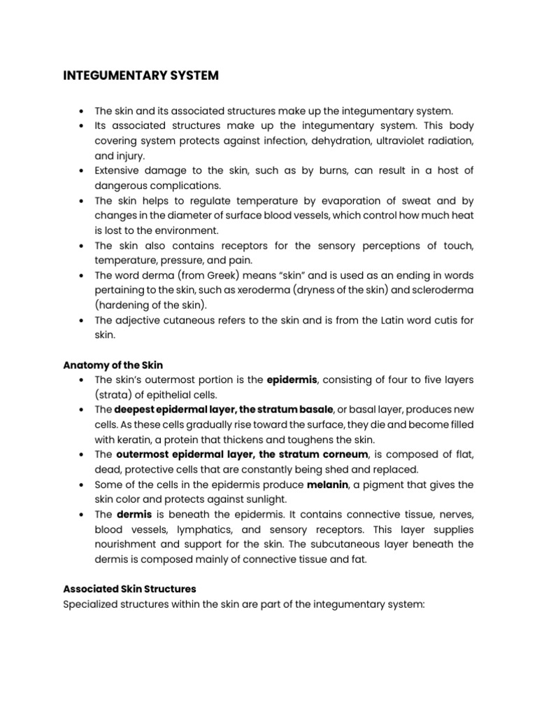 MODULE 5 - MED TERM | PDF | Bone | Vertebral Column