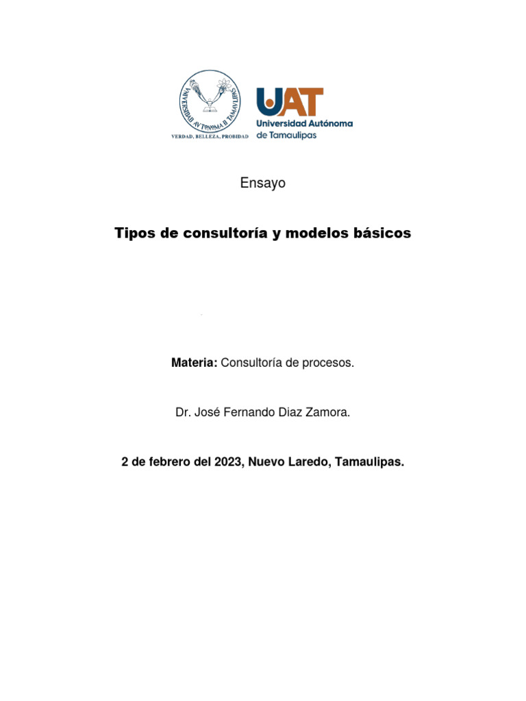 Ensayo de Tipos de Consultoria y Modelos Basicos | PDF | Business | Plan de negocios