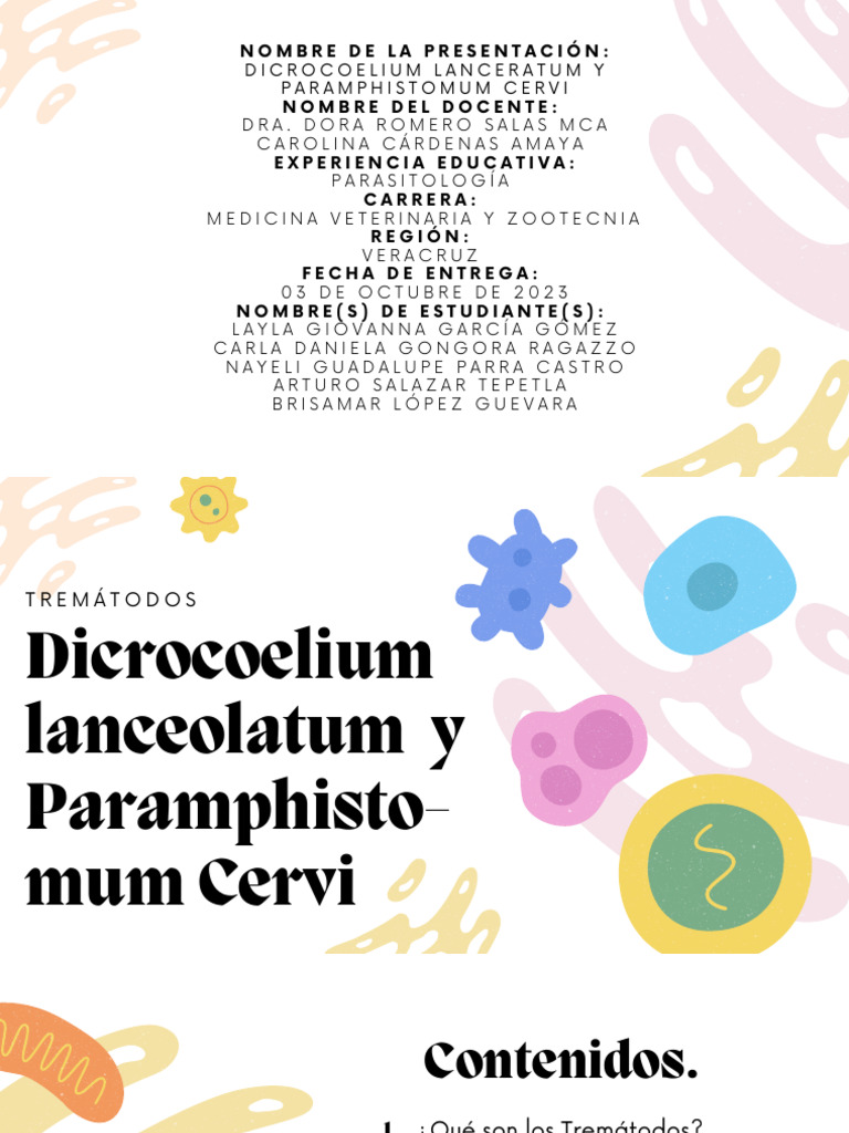 Ciclo de Vida de Paramphistomum Cervi | PDF | Biología | Microbiología