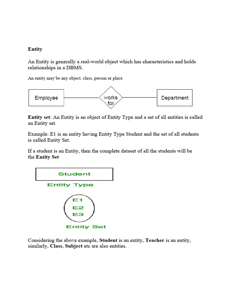 Entity And Entity Set Manuals Download Free Pdf Computer Programming Computing