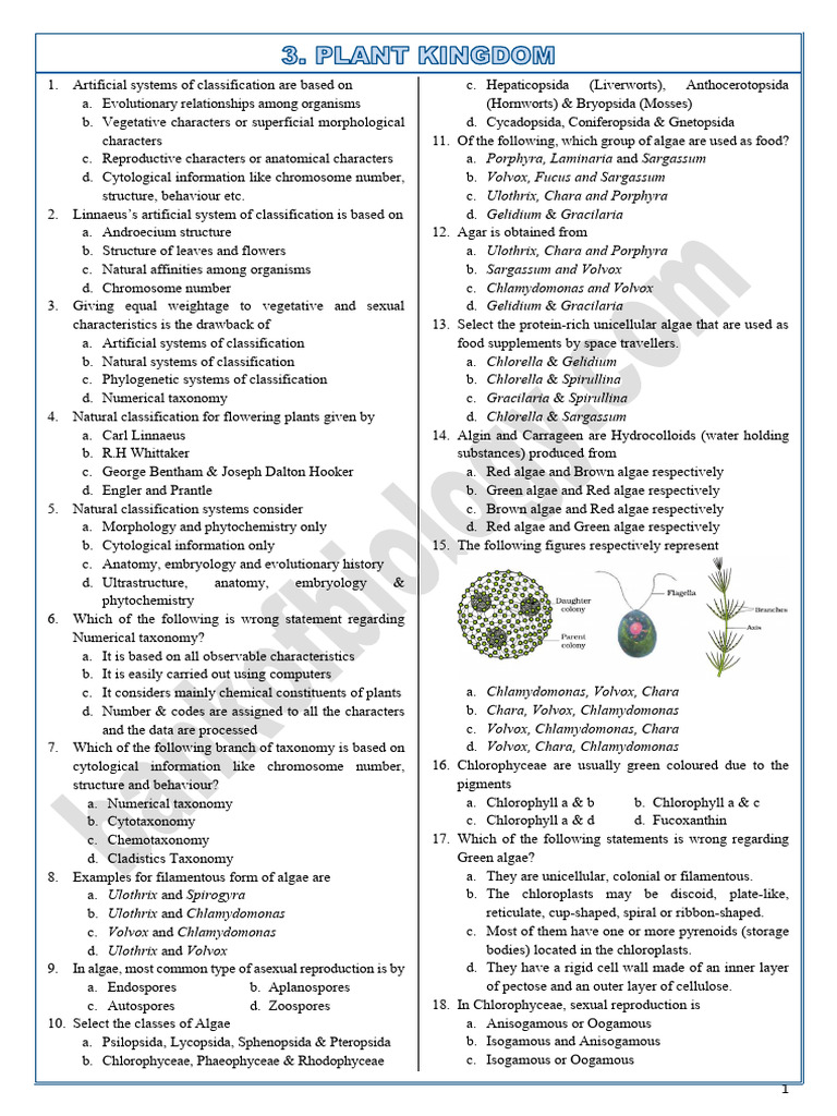 Plant Kingdom: Key Questions & Answers | PDF | Fertilisation | Spore