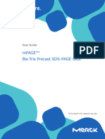 Bio-Rad Mini SDS-PAGE Gel Protocol | PDF | Gel Electrophoresis | Chemistry