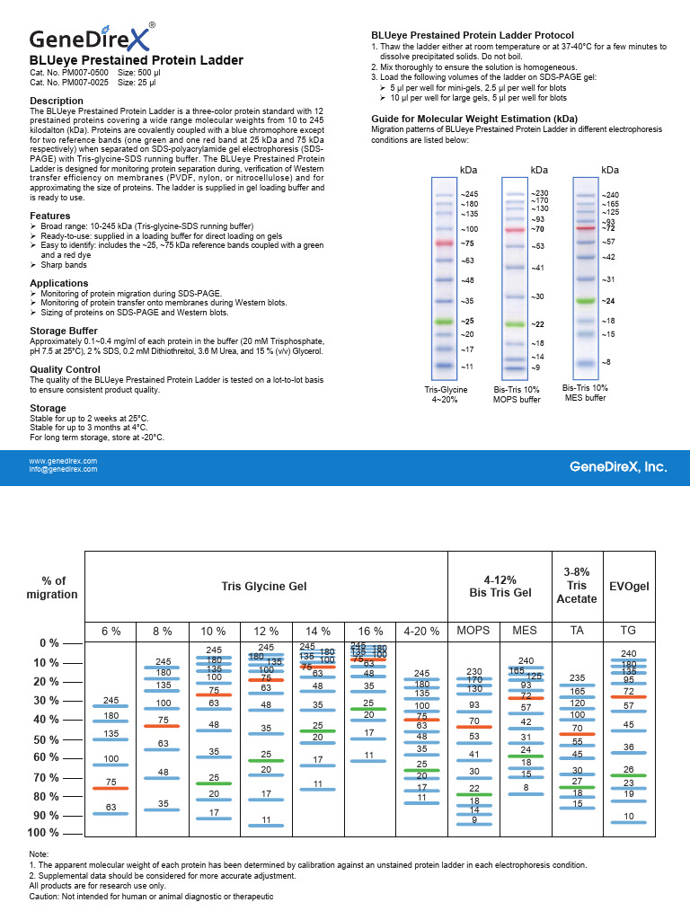 BLUeye Prestained Protein Ladder Overview | PDF | Gel Electrophoresis ...