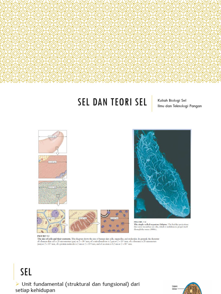 Teori Sel Pdf Kesehatan Holistik Sains Matematika
