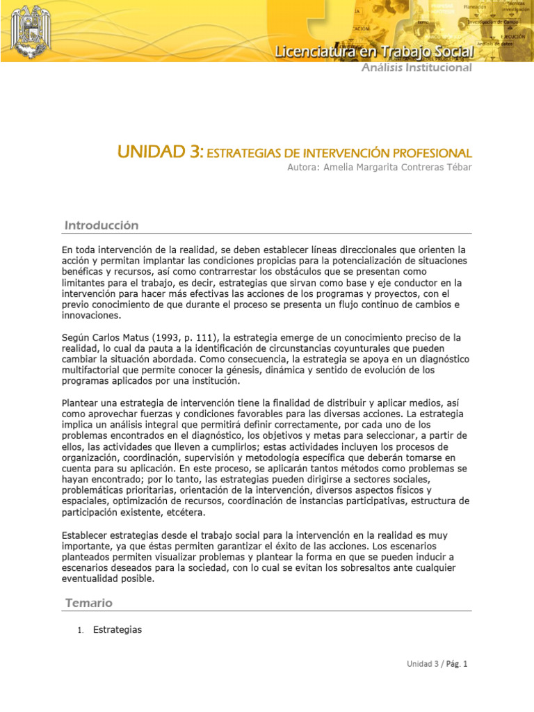 Estrategias de Intervención Profesional | PDF | Planificación | Trabajo ...