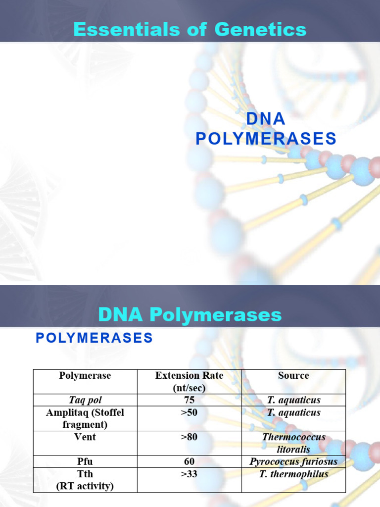 Overview of DNA Polymerases and Rates | PDF | Science & Mathematics