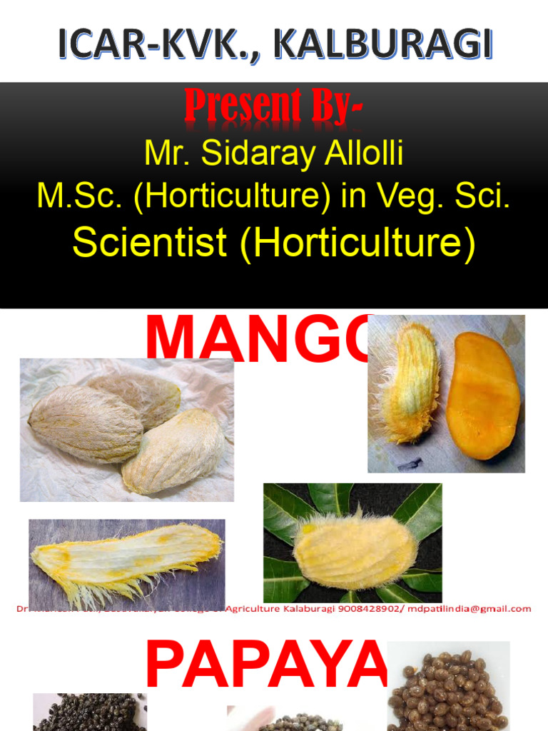 Agri PT PPT - Seeds | PDF