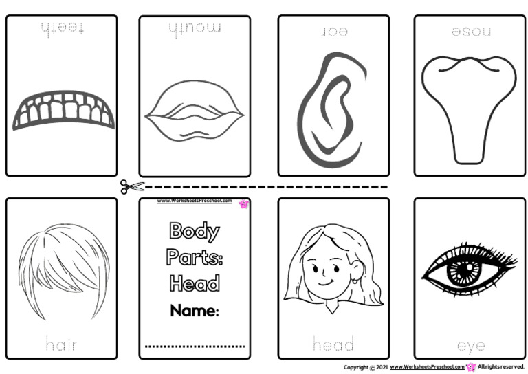 Body Parts Mini Book | PDF | Business | Language Arts & Discipline