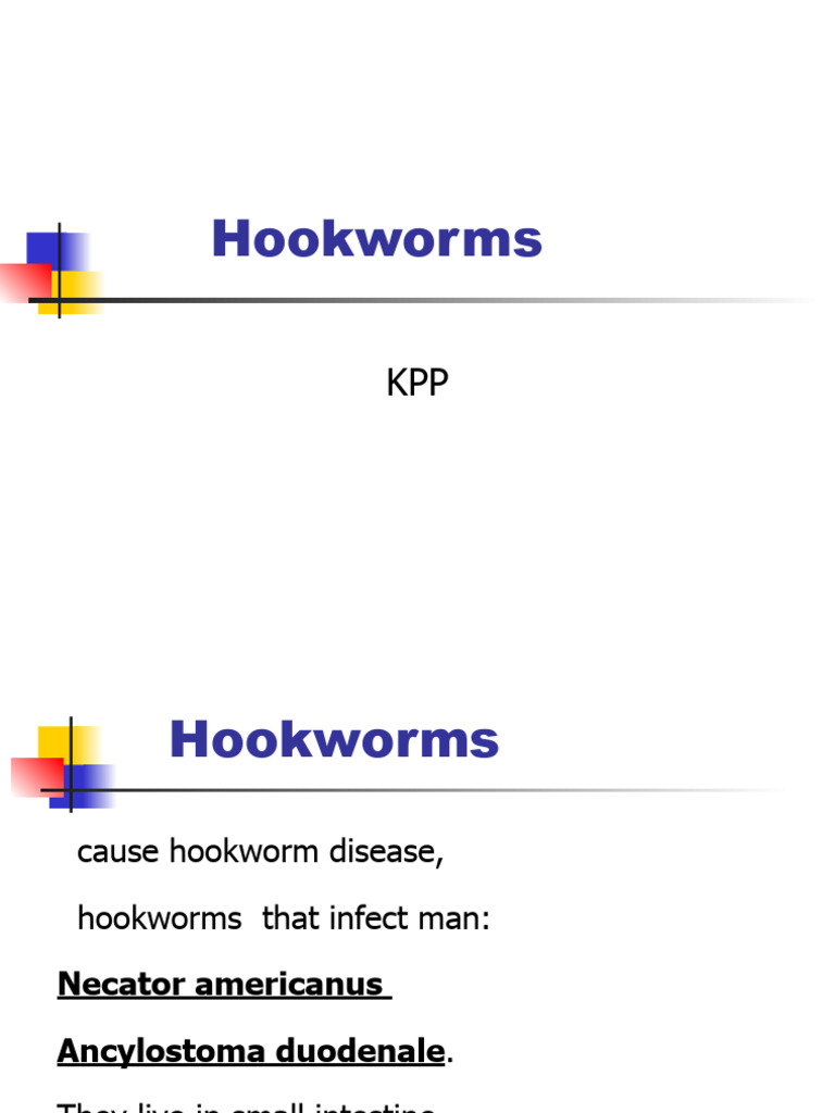 Hookworm (1) 747731995 | PDF | Diseases And Disorders | Medical Specialties