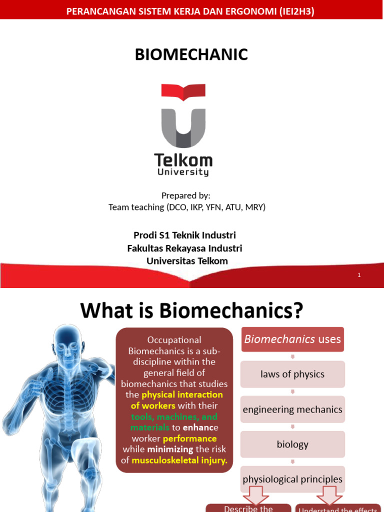 Minggu 12 Biomechanic Pdf Biomechanics Musculoskeletal System