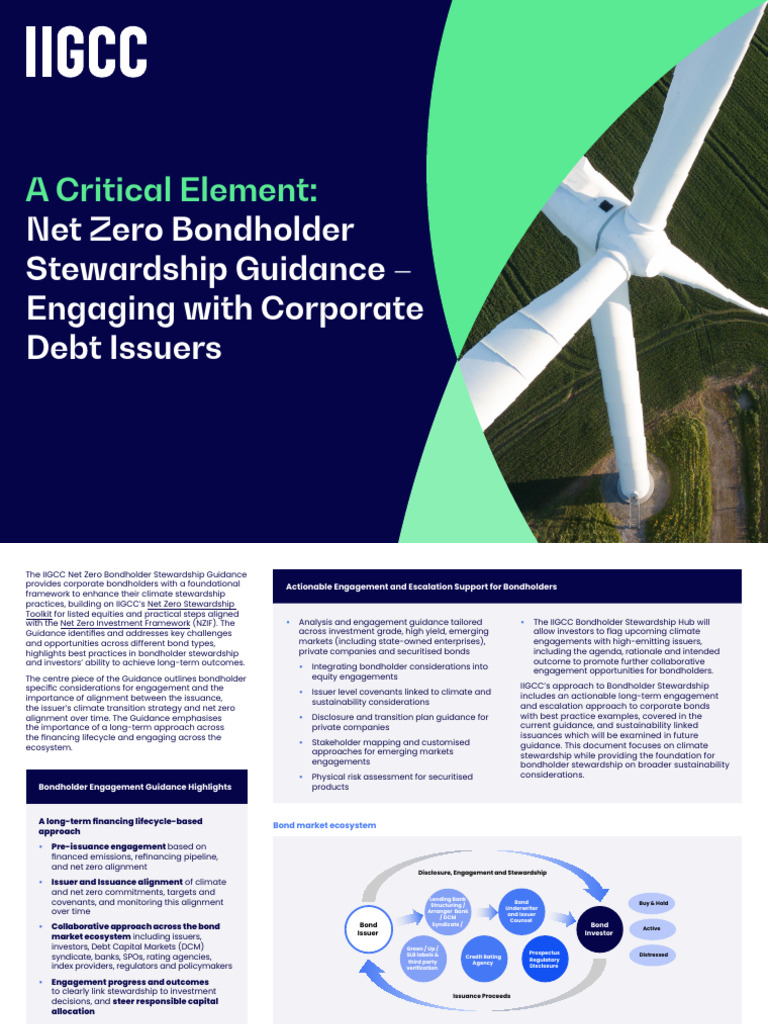 IIGCC Net Zero Stewardship Guidance | PDF | Bonds (Finance ...