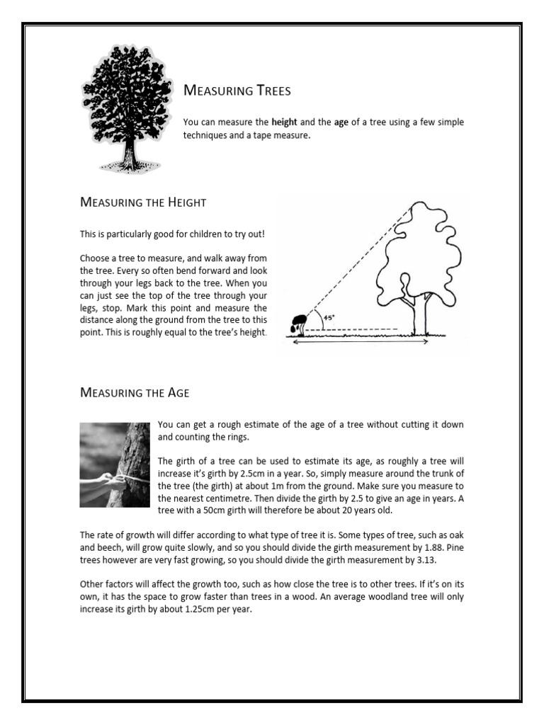 Measuring Trees | PDF