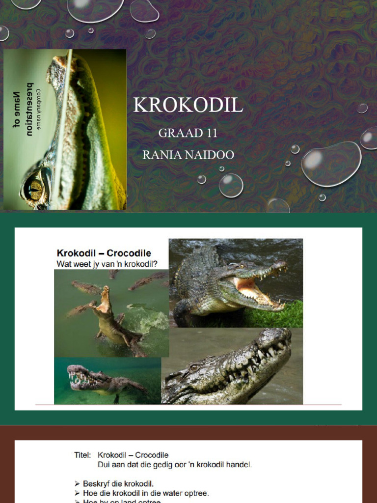 KROKODIL | PDF