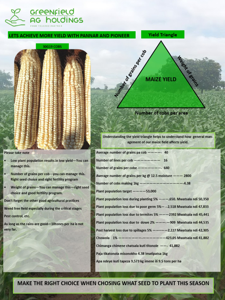 Effects of Plant Population On Maize Yield | PDF | Home & Garden ...