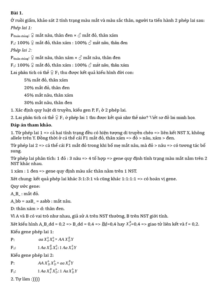 Bài QLDT tự chế | PDF