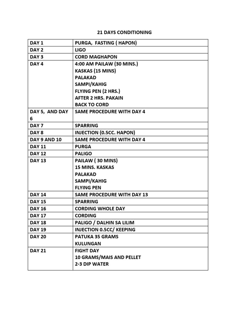 21-Day Conditioning Training Plan | PDF