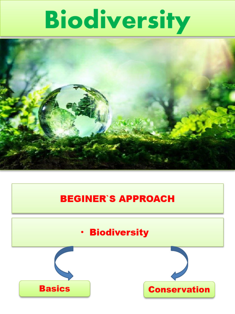 Biodiversity | PDF | Biodiversity | Endangered Species