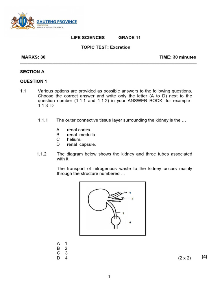 Gr.11 Topic Test - Excretion | PDF | Kidney | Urinary System