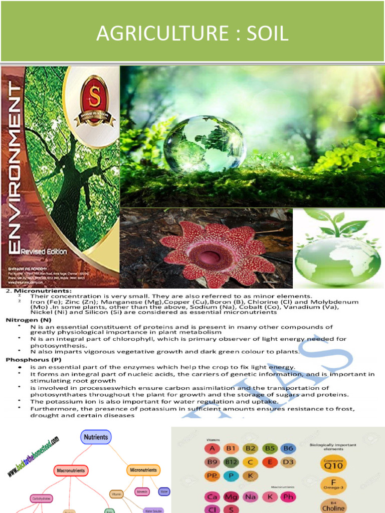 SOIL | PDF | Soil | Hydrology