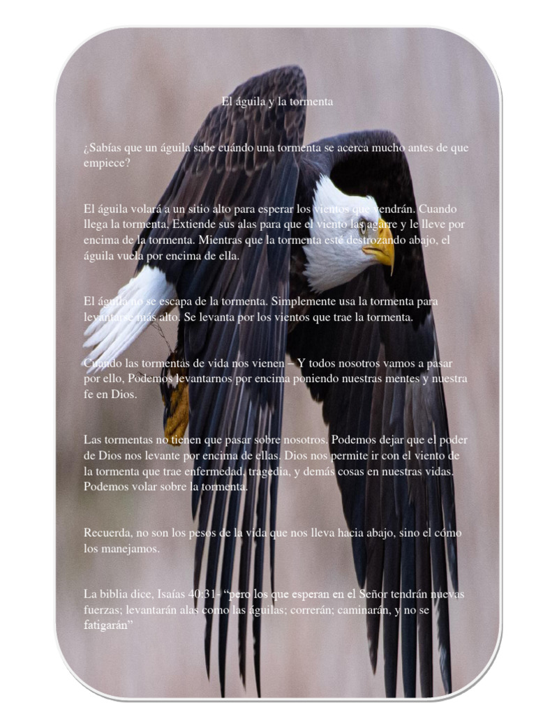El Aguila y La Tormenta | PDF