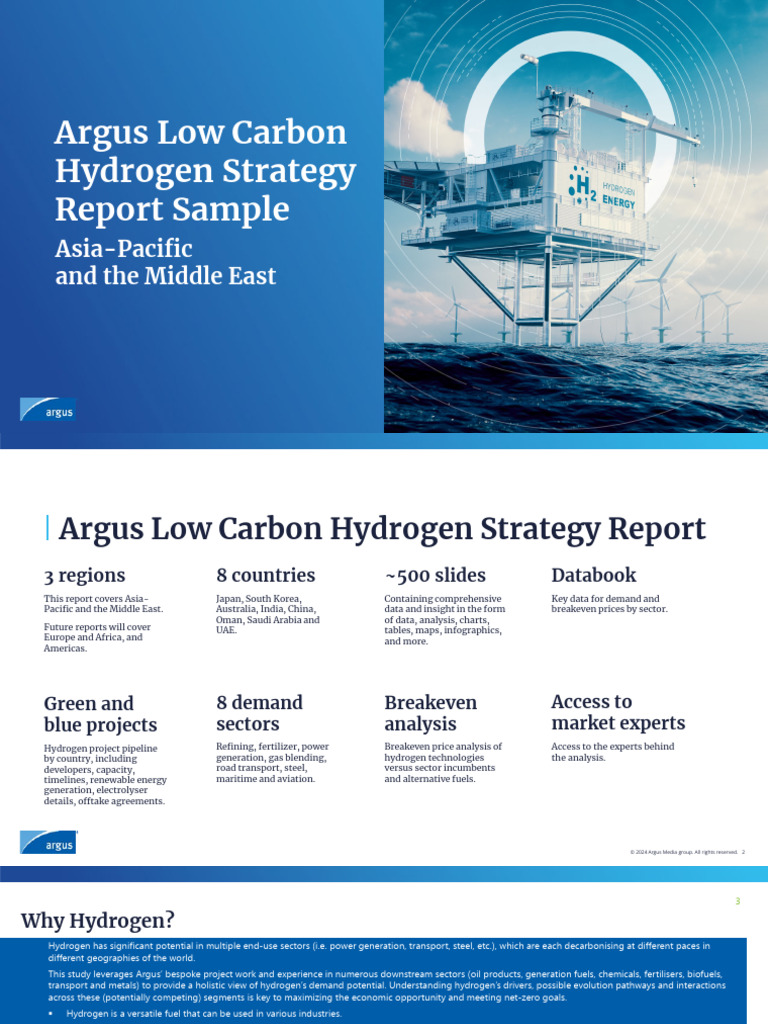 Argus Low Carbon Hydrogen Strategy Report Sample | PDF | Climate Change ...