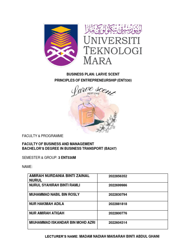 ENT530 Business Plan | PDF | Market Segmentation | Pricing