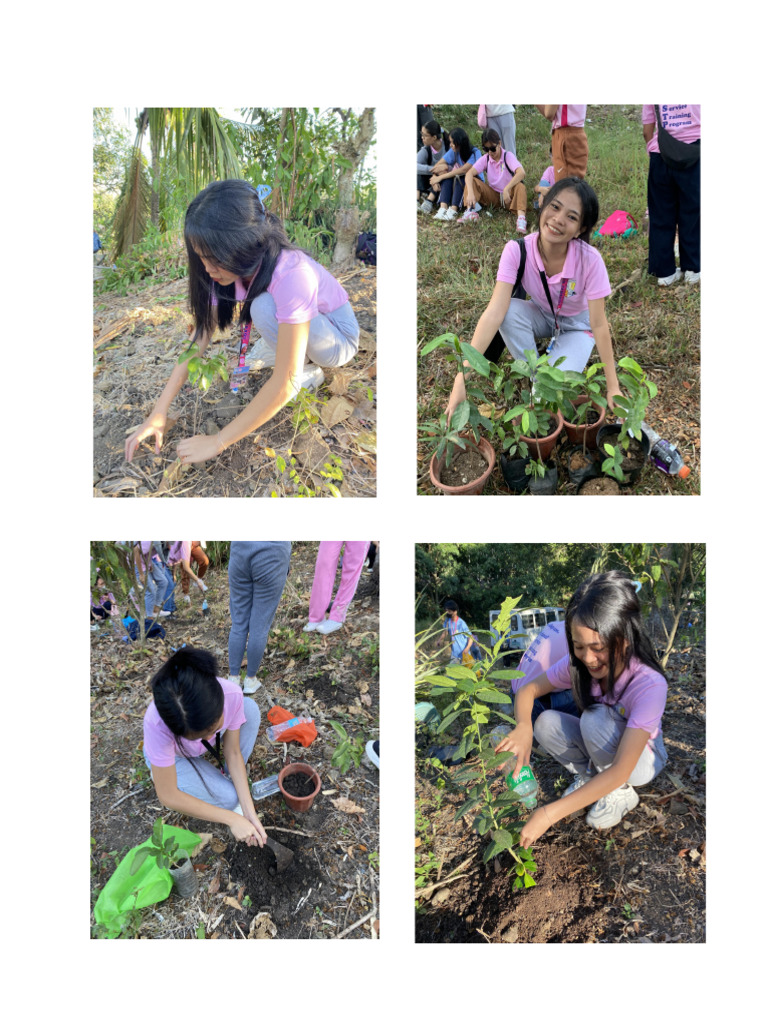 NSTP TREE PLANTING | PDF