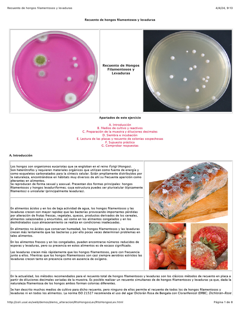 Recuento de Hongos Filamentosos y Levaduras | PDF | Hongo | Alimentos