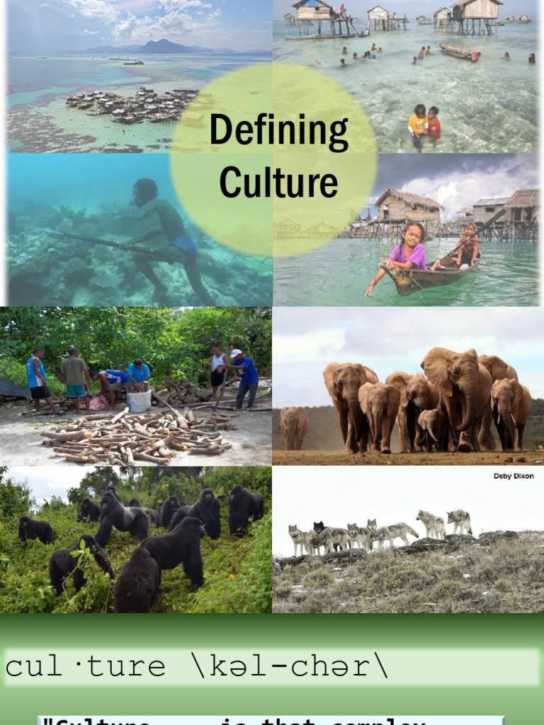 Defining Culture | PDF | Learning | Psychology