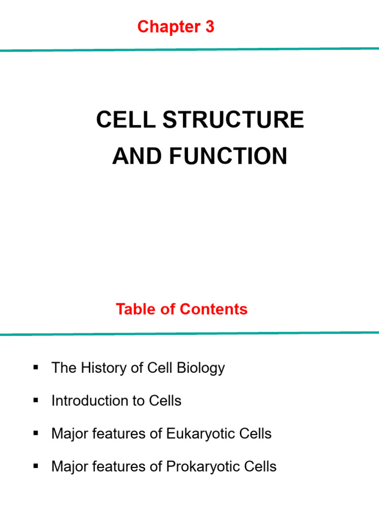 Chapter 3 Cell Structure Function | Download Free PDF | Cell (Biology) | Cell Membrane