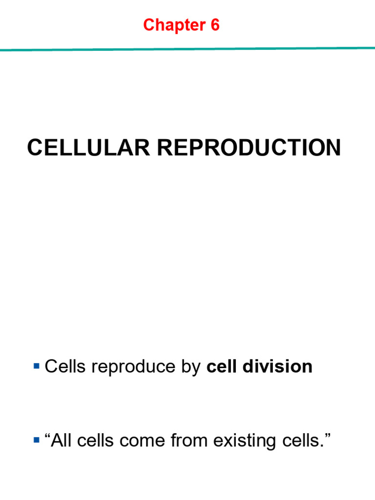Chapter 6 Cellular Reproduction | PDF | Meiosis | Mitosis
