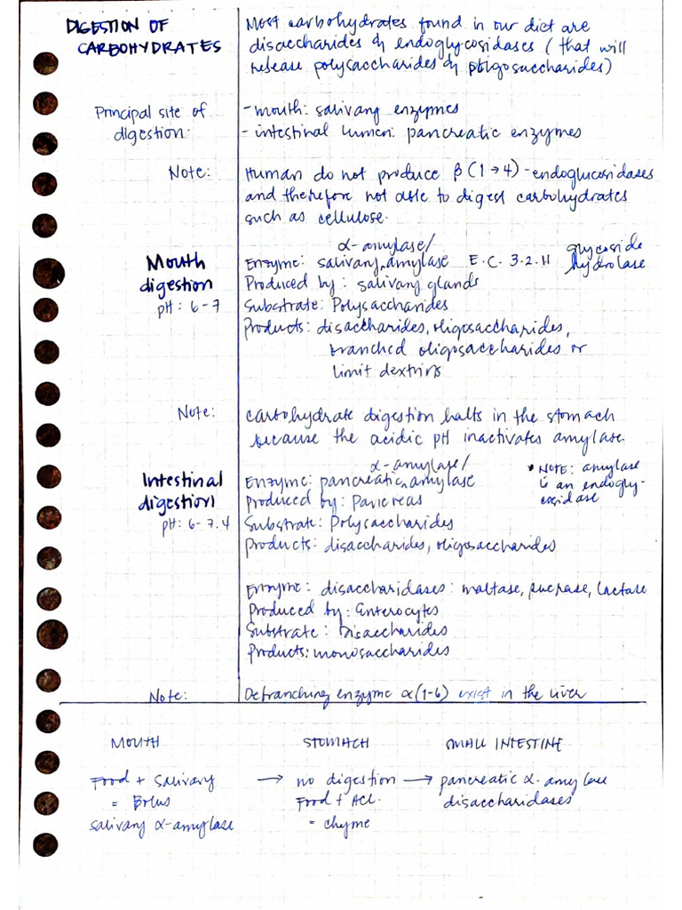 Biochem Lecture Notes | PDF Biochem Lecture Notes | PDF