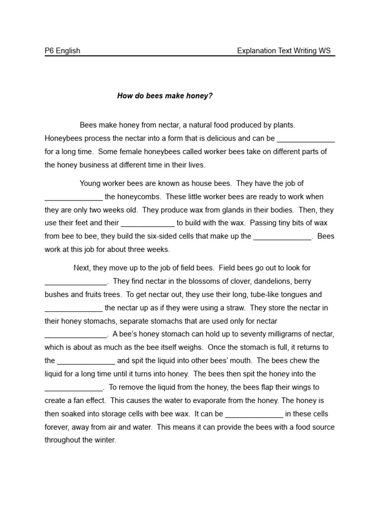 P6 English - Explanation Text Writing WS | PDF