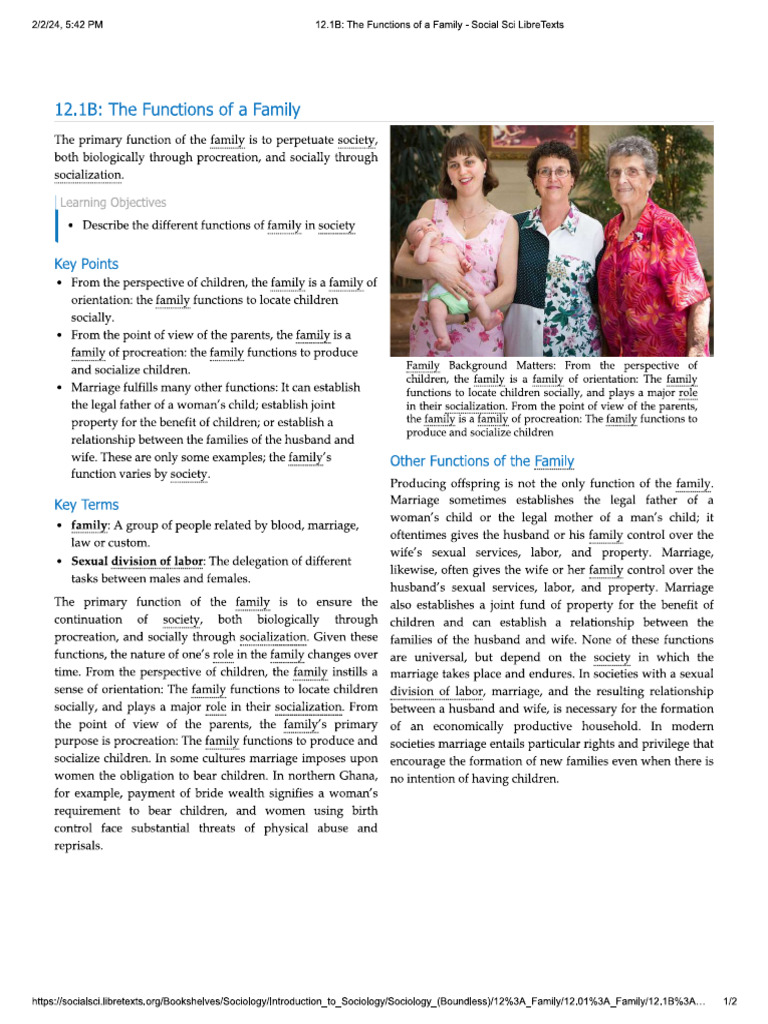 Family Functions | PDF