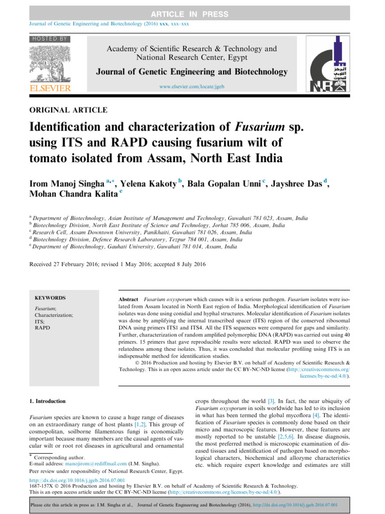 Identification and Characterization of Fusarium SP | PDF | Polymerase ...