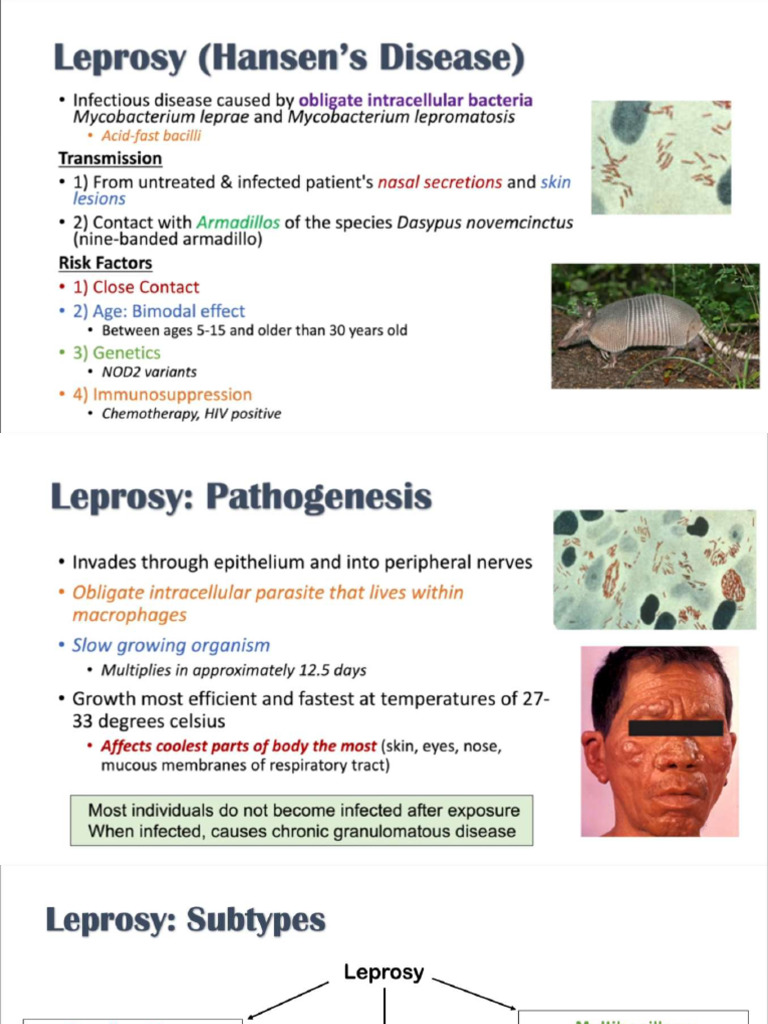 Pathophysiology of Leprosy | PDF