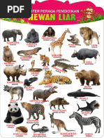 Animals Chart | PDF