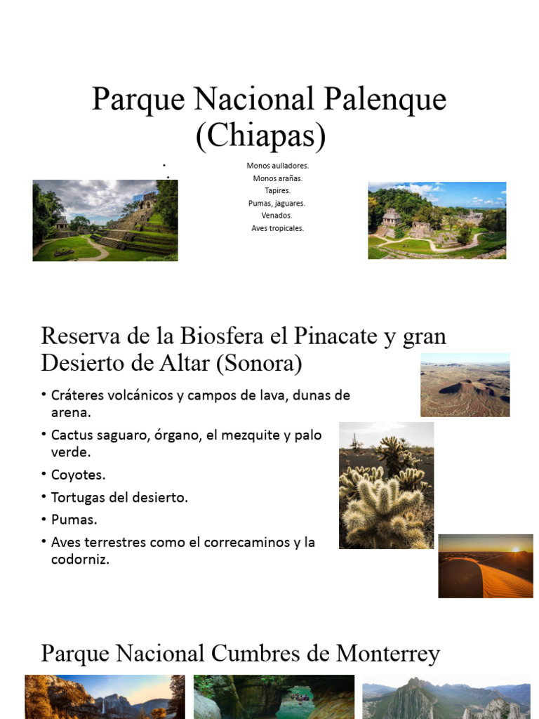 Parque Nacional Palenque (Chiapas) | PDF