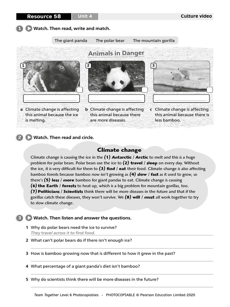 TT6 Pho Resource-58 U4 Culture | PDF