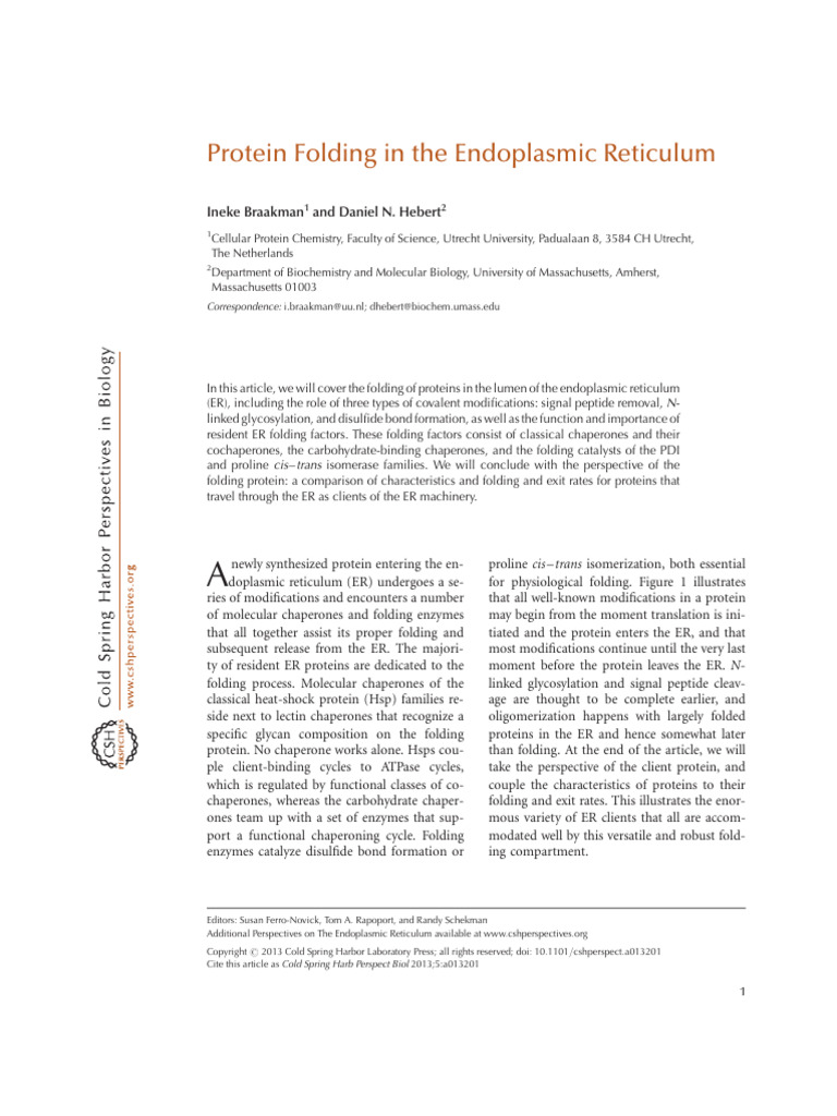 Protein Folding in ER | Download Free PDF | Endoplasmic Reticulum | Protein Targeting