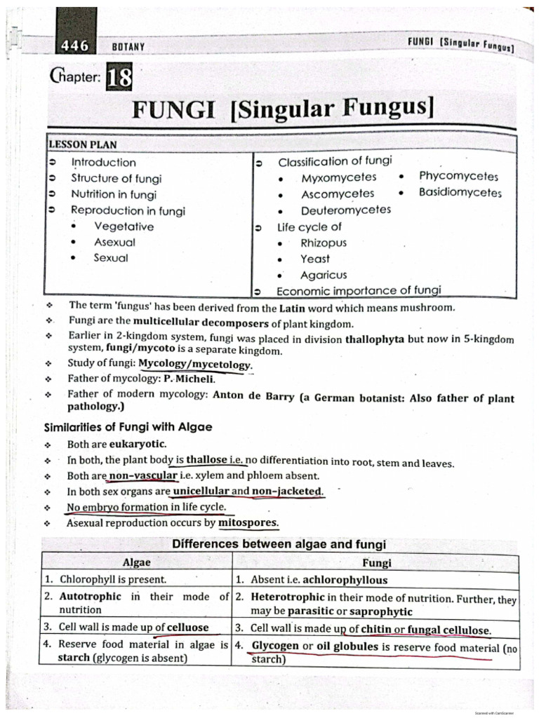Fungi | PDF