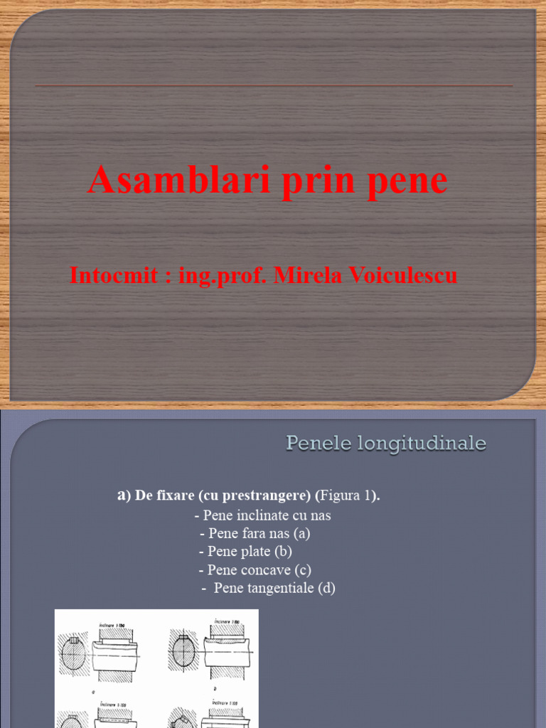 Asamblari Prin Pene | PDF